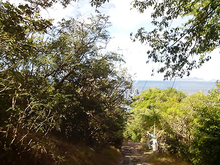 21,780 square feet of Prime Residential land located at St. Louis ...